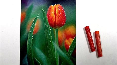 Oil Pastel Drawing 이슬 맺힌 망고튤립 그리기 오일파스텔화｜ohu Sia 오일 파스텔 그림 오일 파스텔