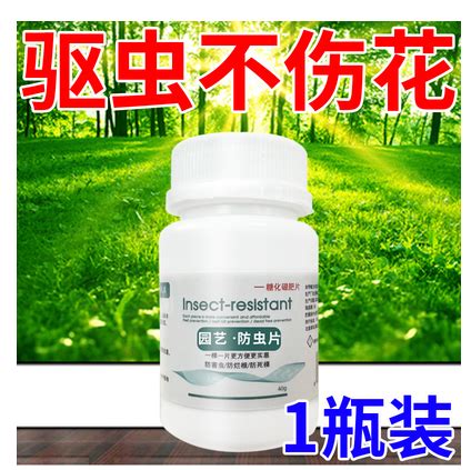 限时免费月季花病虫害常用药 大卖网