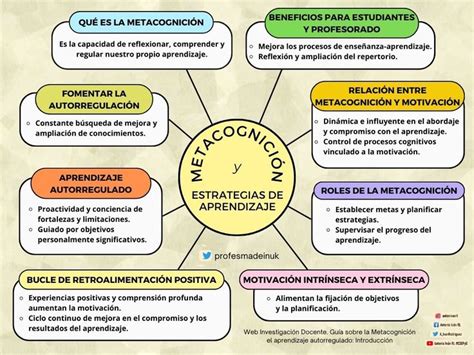 Guía De Metacognición La Evaluación Y El Desarrollo De Habilidades
