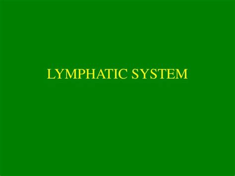 Ppt Lymphatic System Powerpoint Presentation Free Download Id 4236375
