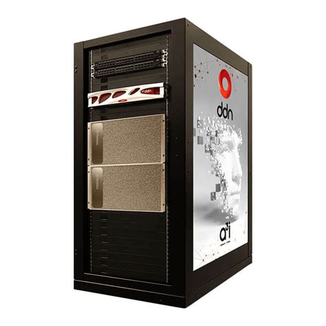 DDN Powerful Data Management Solutions Advanced Integration S L