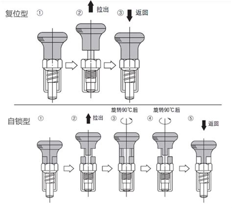 Chốt Pin Định Vị Núm Pitong Sxpan