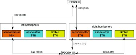 Schematic Representation Of Significant Correlations Between Download Scientific Diagram