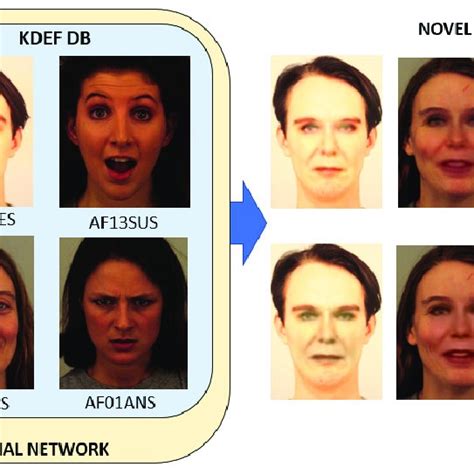 Examples Of Novel Synthetic Images Generated With The GAN Download Scientific Diagram