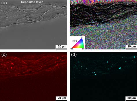 Microstructure Near The Top Surface Of The Hpsr Processed Sample A