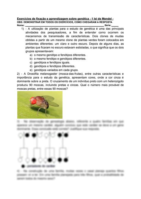 SOLUTION Quest Es Gen Tica 1 Lei De Mendel Studypool