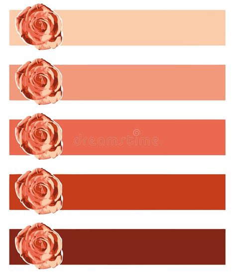 Red Tone Color Shade Background With Code And Name Stock Vector
