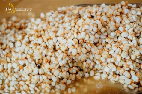 Nejayote Qué Es Y Cuál Es Su Tratamiento Tia Alimentos