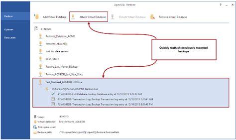 Apexsql Restorefiles Comparisonfiles Comparison Database Cogito Software Coltd English Website