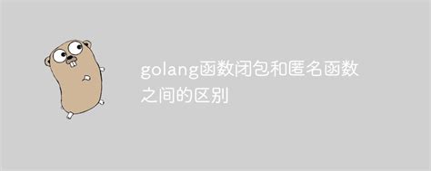 Golang函数闭包和匿名函数之间的区别 叮当号