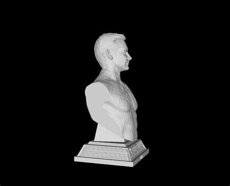 Archivo Stl Spiderman Tobey Maguire Bust 🦸‍♂️ ・diseño Para Descargar Y