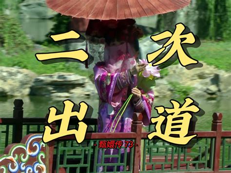 【甄嬛传73】皇后为何要帮助安陵容二次出道？ 貔柴 貔柴 哔哩哔哩视频
