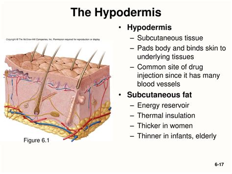 Chapter 06 Lecture Outline Ppt Download