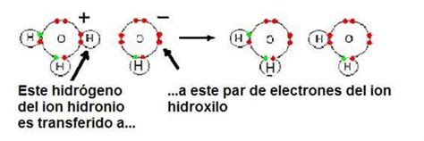Teoria Acido Base De Bronsted Lowry Mind Map