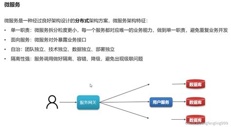 黑马学springcloud：微服务and服务拆分spring Cloud 项目 模块 划分 Csdn博客
