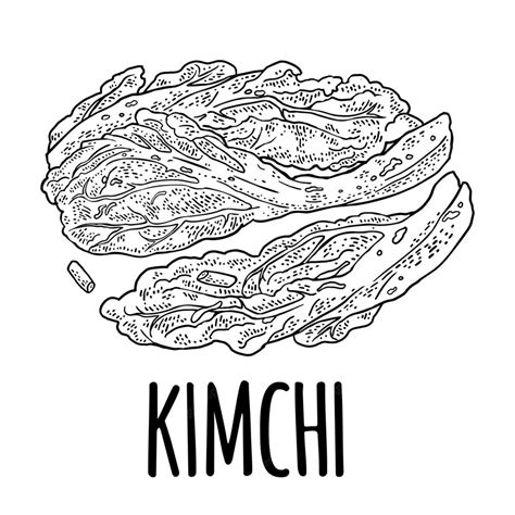 Premium Vector Korean Food Kimchi Isolated On White Background Vintage Black Vector Engraving