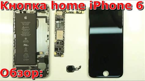 Часть 1 не работает кнопка Home Iphone 6 обзор замена кнопки хоме не