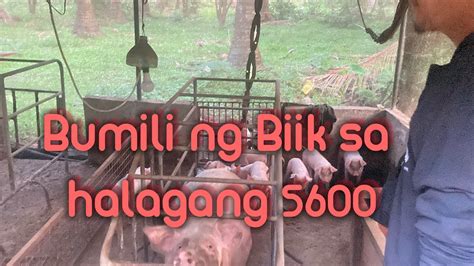 BUMILI KAMI NG BIIK SA HALAGANG 5600 - YouTube