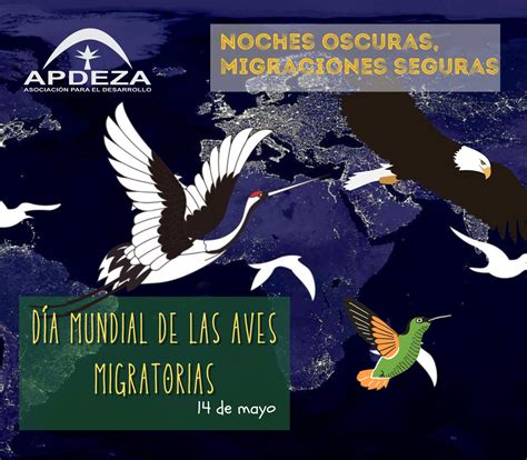 14 DE MAYO DÍA MUNDIAL DE LAS AVES MIGRATORIAS CONTAMINACIÓN LUMÍNICA