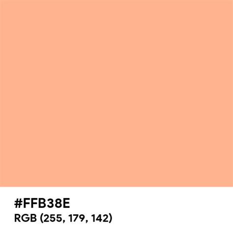 Coral Peach Color Hex Code Is Ffb38e