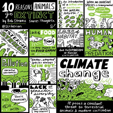 Sketchnotes Environment — Scriberia
