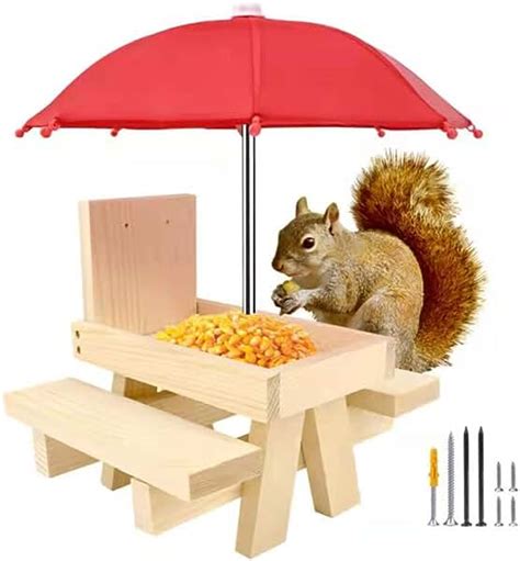Uk Squirrel Feeders Squirrel Feeders Squirrel Care Home