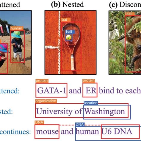Similarity Between Entities And Objects Download Scientific Diagram
