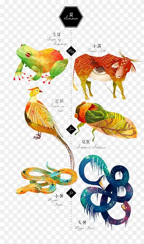 夏天的元素PNG图片素材下载 图片编号8216329 PNG素材网