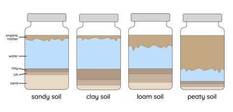 Lower KS2 Science Lesson Plan Soil Layers And Earthworms