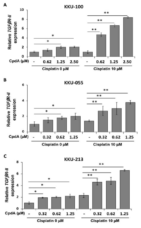 Tgfβr Ii Expression In Cca Cells Lines After Treatment With Combination