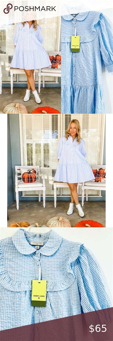 Sandy Liang Shirtdress Dress Xl Blue Drop Waist Gingham Half Sleeve