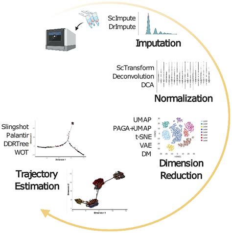Schematic Of General Analysis Steps And Methods Used For Combinatorial