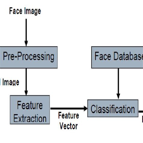 Sub Image Homomorphic Filtering Download Scientific Diagram