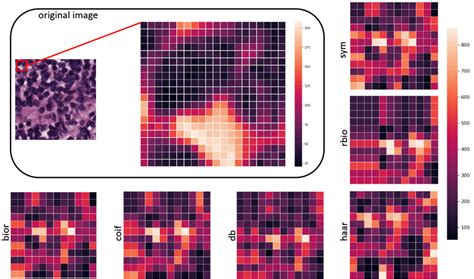 Differences Among Mother Wavelets At The Second Level Of Decomposition Download Scientific