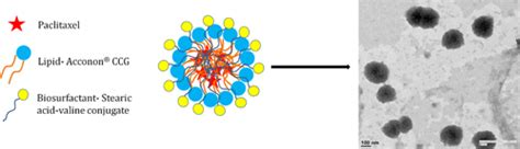 Lipid And Biosurfactant Based Coreshell Type Nanocapsules Having High