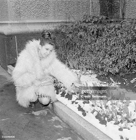 Danielle York Photos And Premium High Res Pictures Getty Images