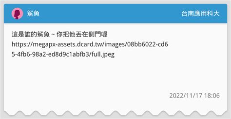 鯊魚 台南應用科大板 Dcard