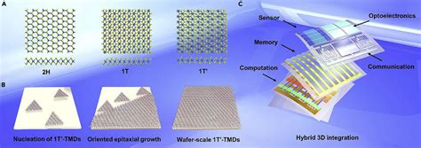 Epitaxial Growth Of Wafer Scale Sc Tmds For Future Electronics A
