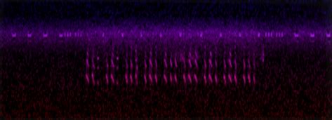 File Signal Sums Spec Png Voices Of The Void Wiki