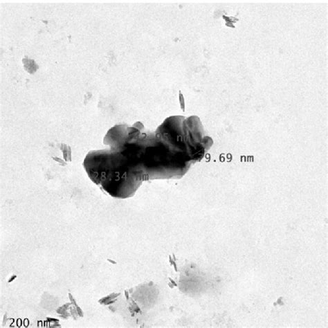 Scanning Electron Microscope Micrograph Of The Synthesized Nanoparticle Download Scientific