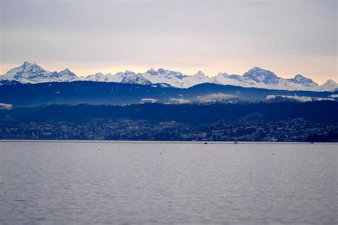 전경취리히 호수와 스위스 알프스의 아름다운 경치가 흐린 겨울 오후를 배경으로 합니다 0명에 대한 스톡 사진 및 기타 이미지