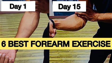 6 Best Workout For Bigger Forearm🔥 15 Days Forearm Buildrajat
