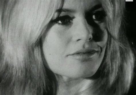 Patrimonio Di Brigitte Bardot Ecco Quanti Soldi E Case Ha La Diva
