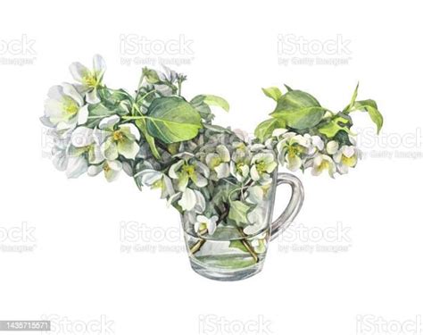 흰색 배경에 고립 된 꽃병에 사과 꽃이 피는 수채화 꽃다발 가지 봄 향기로운 꽃 낭만적 인 축하를위한 무성한 단풍 결혼식 초대 또는 8 월을위한 클립 아트 포장 떠남에 대한