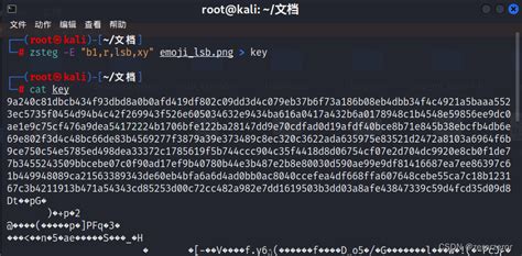 HDCTF 2023 省外赛道 MISC hdctf 2023 hardmisc CSDN博客