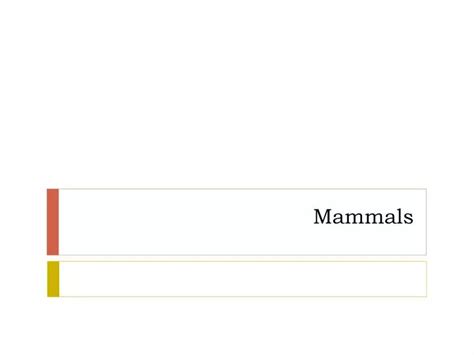 Ppt Mammals Powerpoint Presentation Free Download Id 1938065