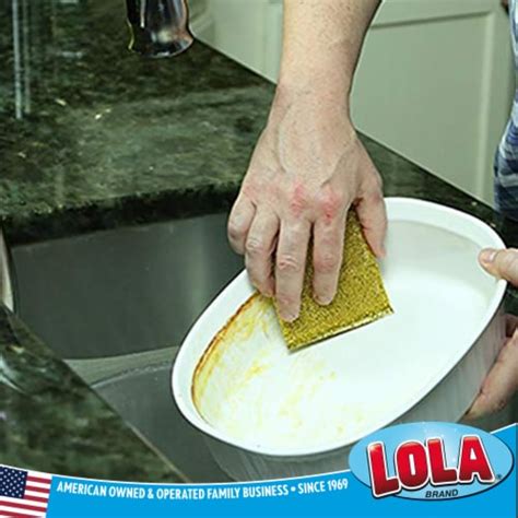 Lola Wonder Scourer Non Scratch Scouring Pad Dual Purpose Foam