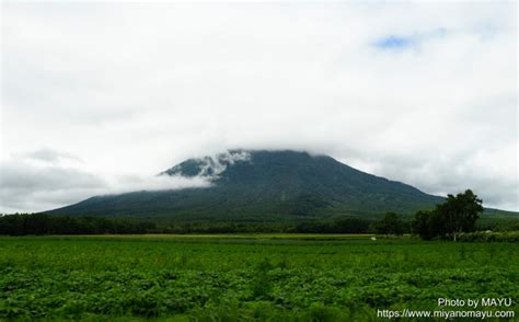 セイコーマートの「secoma 京極の名水 珈琲ゼリー」はスッキリ美味しい 北の暮らし ～札幌・宮の森から～