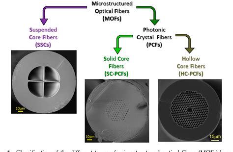 Figure 1 From Optical Fiber Sensors Based On Microstructured Optical