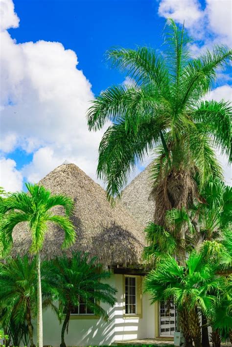 La Casa Con Un Tejado Hecho De La Palma Ramifica Foto De Archivo
